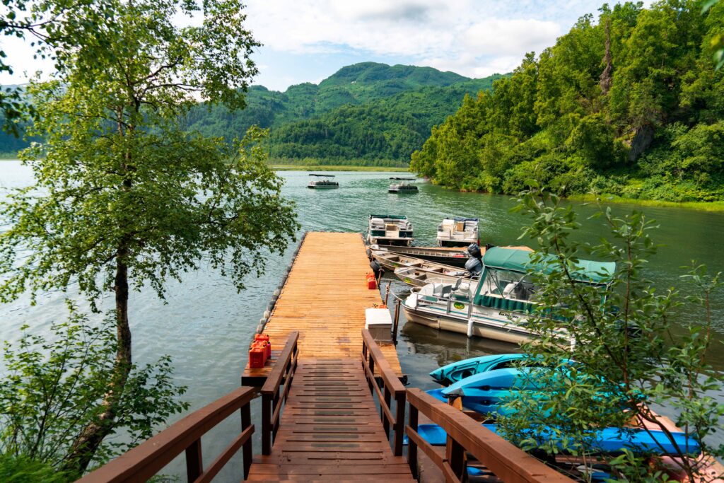 Redoubt Bay Lodge Bear Viewing | Fly Rusts